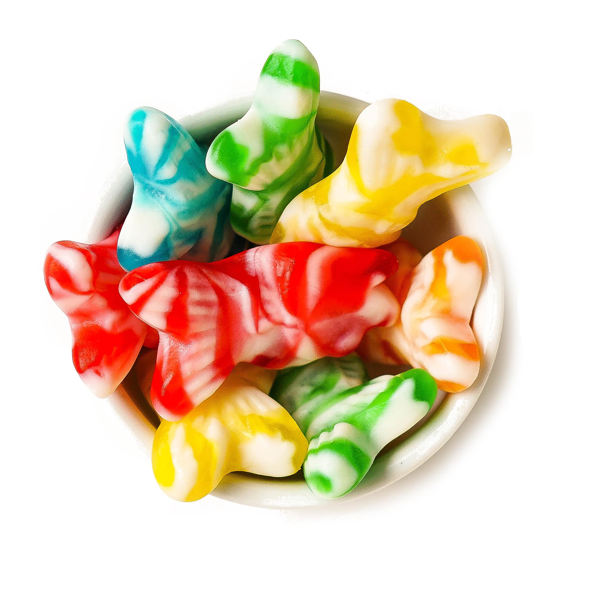 Multicolored fish – La boîte à bonbons